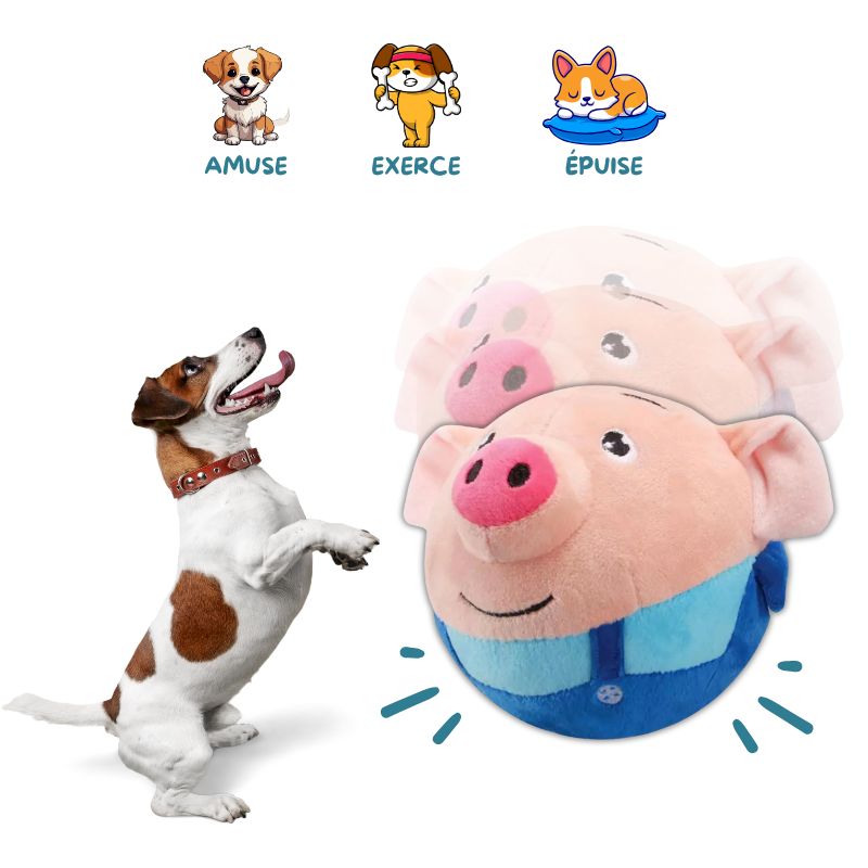 Cochon Rebondissant - Impossible de s'en lasser – SAFEPUPPY