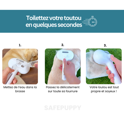 Brosse à Vapeur - Toilettage express sans douleur – SAFEPUPPY