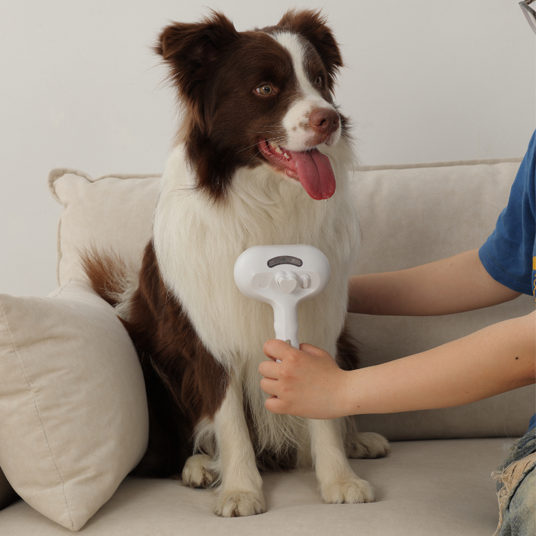Brosse à Vapeur - Toilettage express sans douleur – SAFEPUPPY